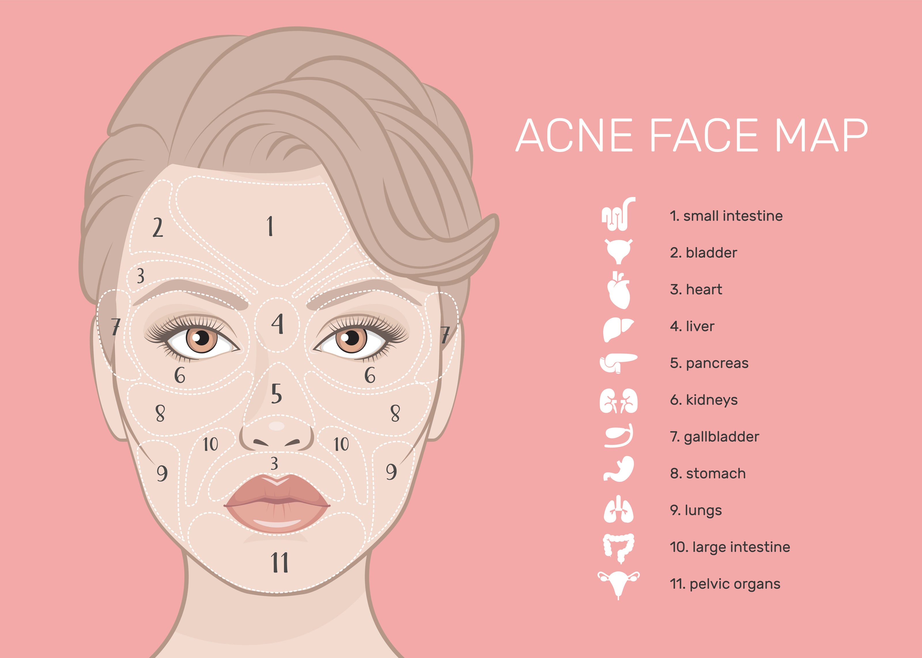 Face Mapping – How to Read Your Skin From Within